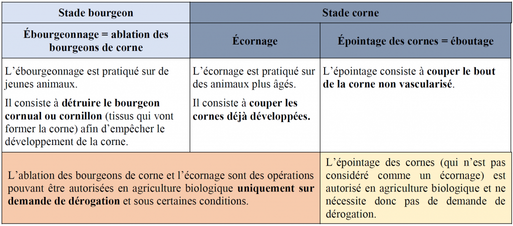 Ébourgeonnage et écornage - Certification Bio